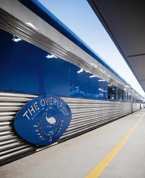 The Overland train adventure: Red Premium experience - FIFTY+SA