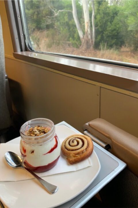 The Overland train adventure: Red Premium experience - FIFTY+SA