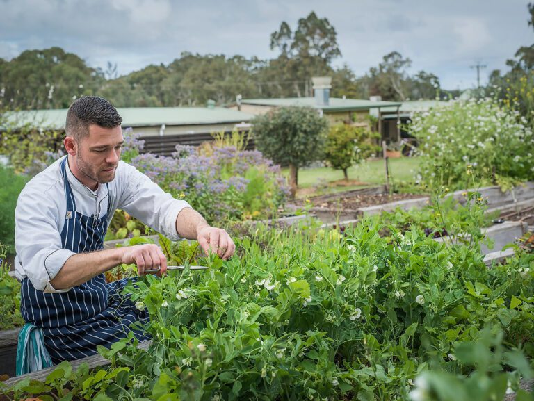 Best places to eat on the Fleurieu Peninsula - FIFTY+SA