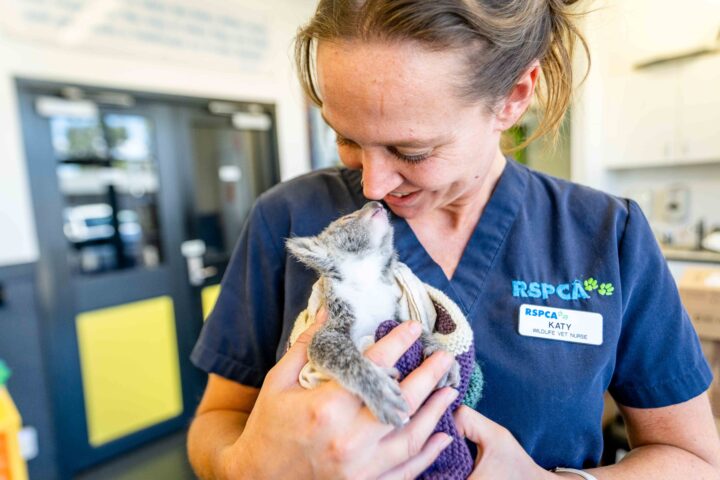 RSPCA to open new Animal Care Campus - FIFTY+SA