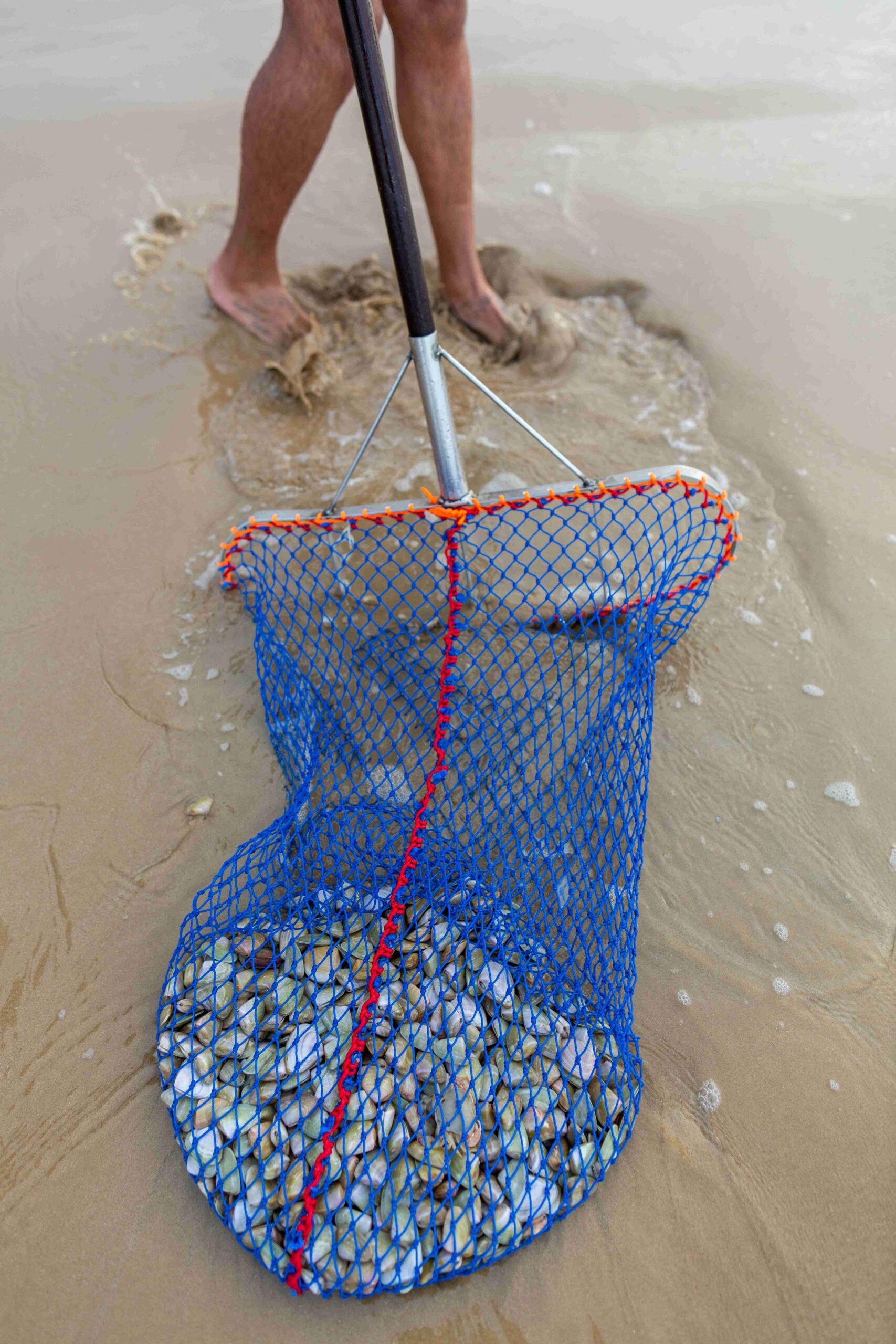 Goolwa Pipi Co.’s sustainable shuffle: From Ocean to Plate - FIFTY+SA