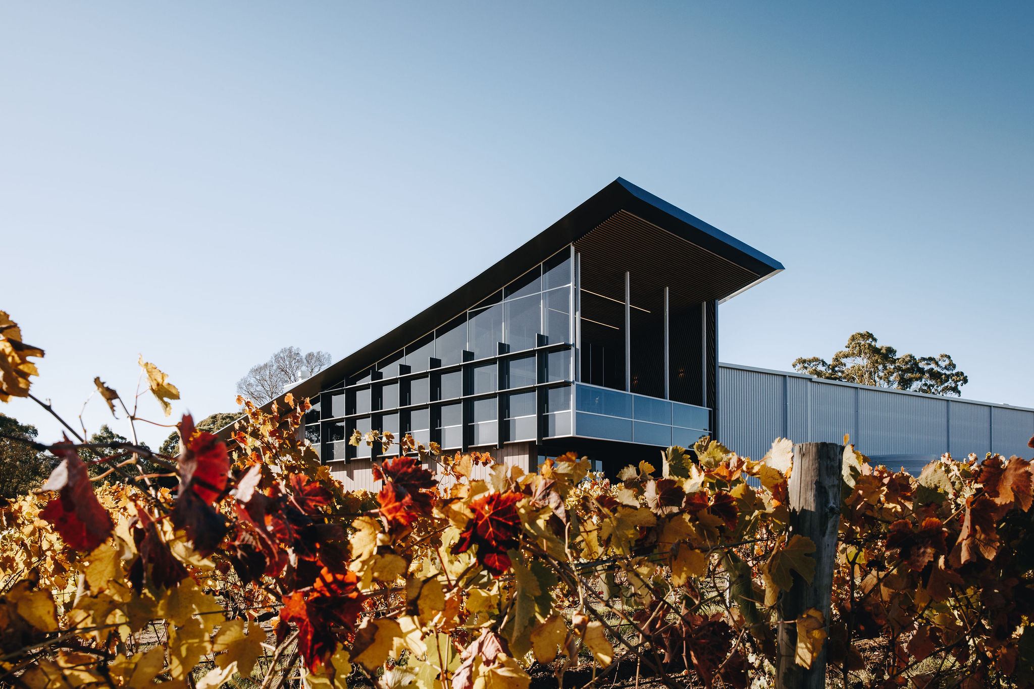 Immersive new cellar door at Yangarra Estate Vineyard - FIFTY+SA