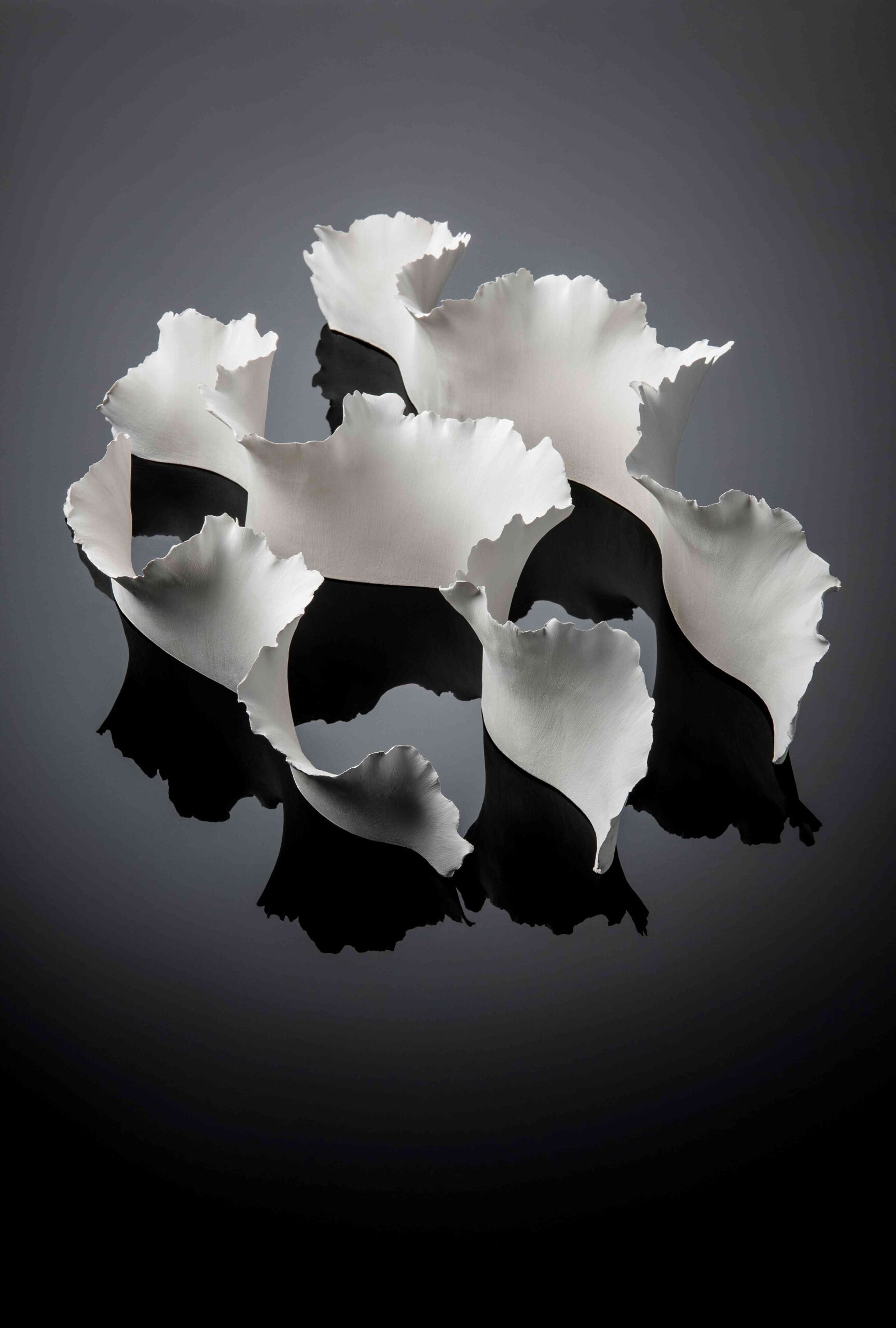 The life and work of Jane Price - FIFTY+SA