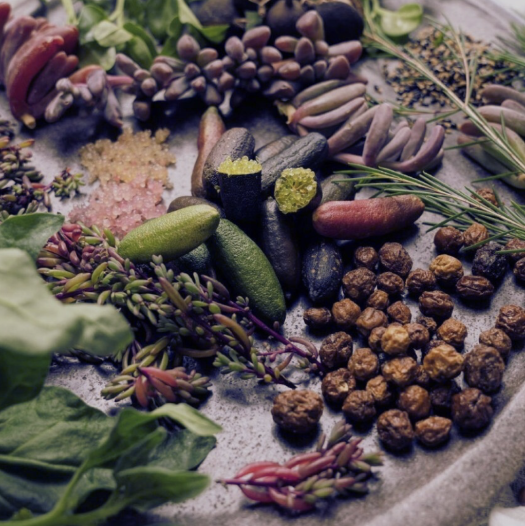 Native Australian Cuisine Masterclass | Fleurieu Food Festival - FIFTY+SA